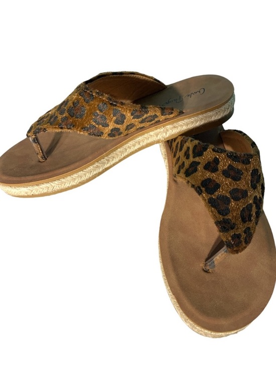 Charlie Paige | Shoes | Charlie Paige Leopard Print Sandalsflip Flops ...